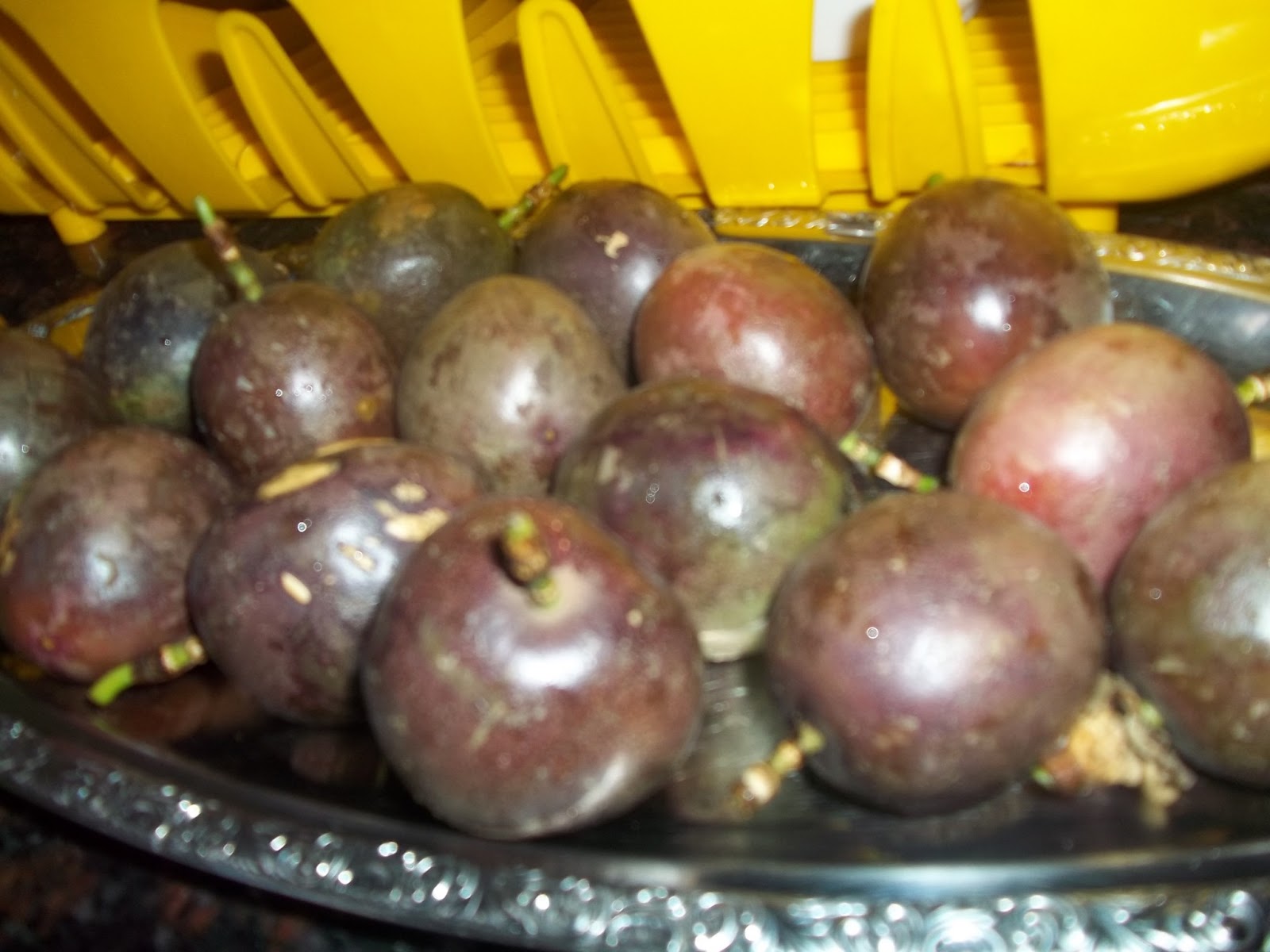 AKWE'S CUISINE!: Narrating My Passion Fruit or Adam Fruit Story!