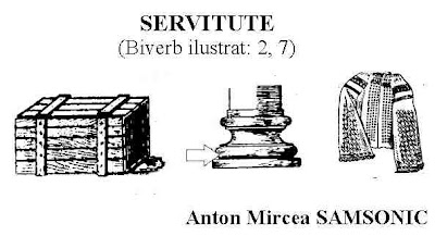 rebusmania-blog-ciocianu: SERVITUTE (biverb ilustrat)