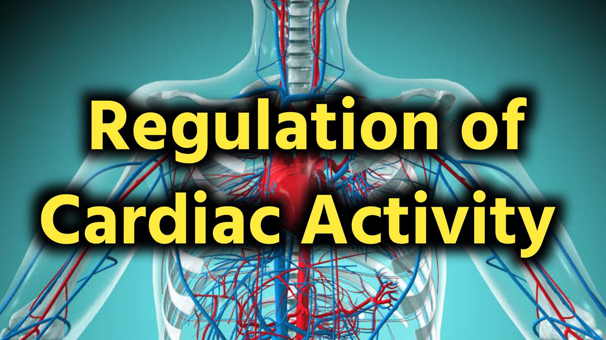Regulation of Cardiac Activity | Manish Mevada