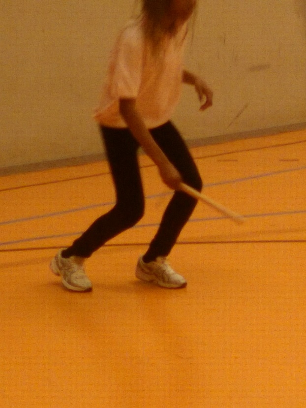 Bridge: Promotion of European Traditional Sports and Games: Lippa