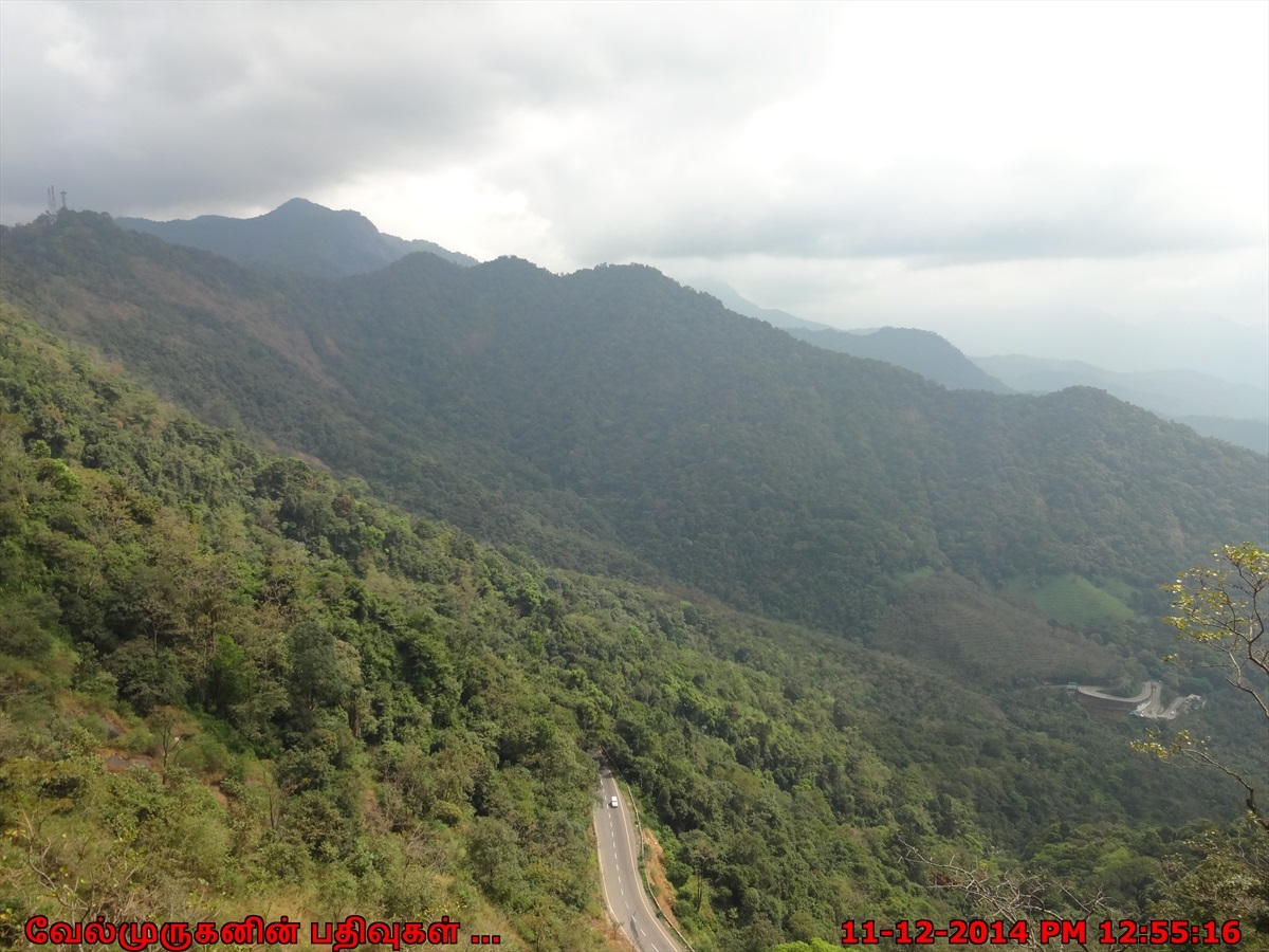 Attractions in Wayanad - Exploring My Life