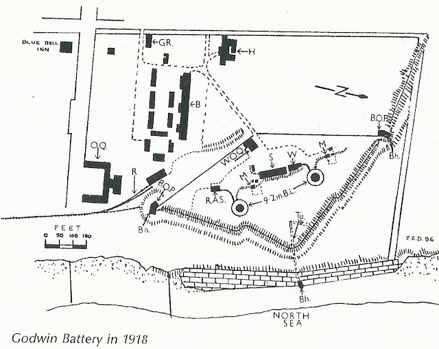 Birding with Flowers: Tolkien's Hemlock Glade, Part 4