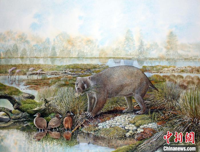 StayGate: Scientists discover new species of marsupial in ancient times ...