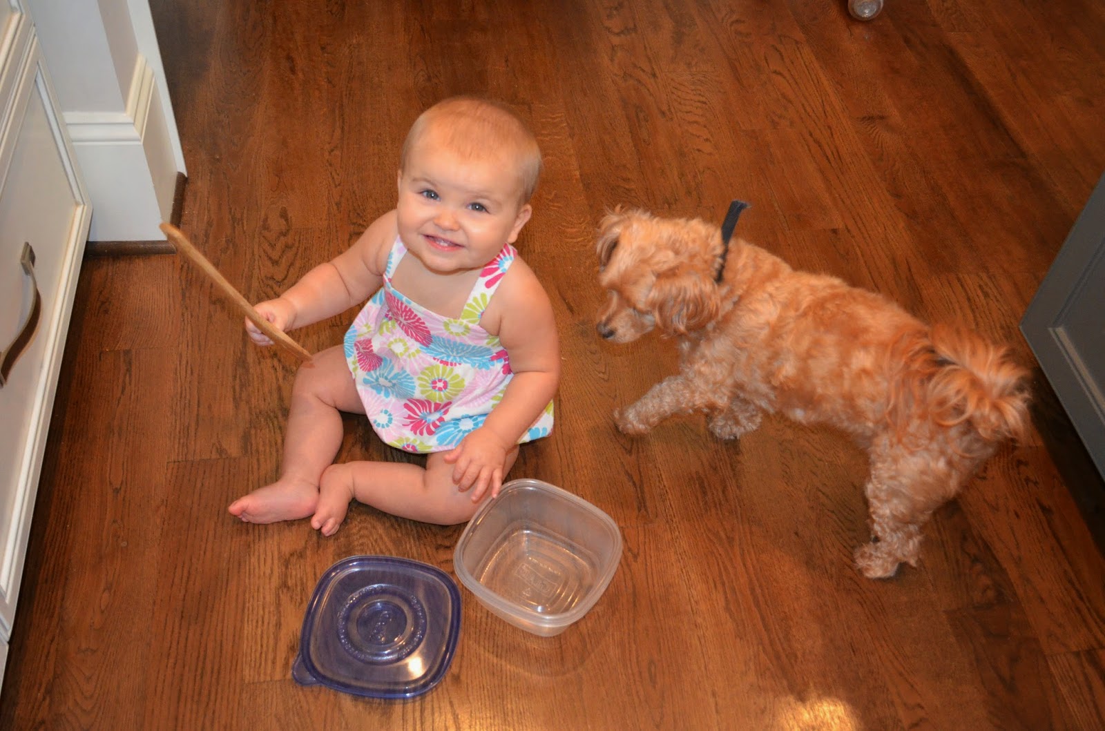 The Life of Riley: A recipe so easy I can make it