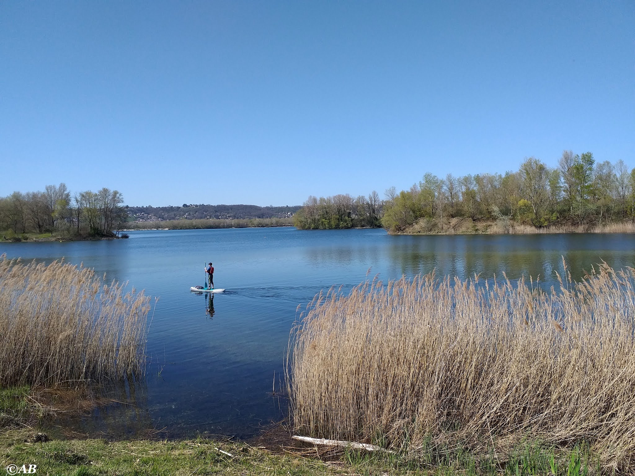 j'ai vu, j'ai photographié, je partage: Parc de Miribel Jonage ( Rhône)