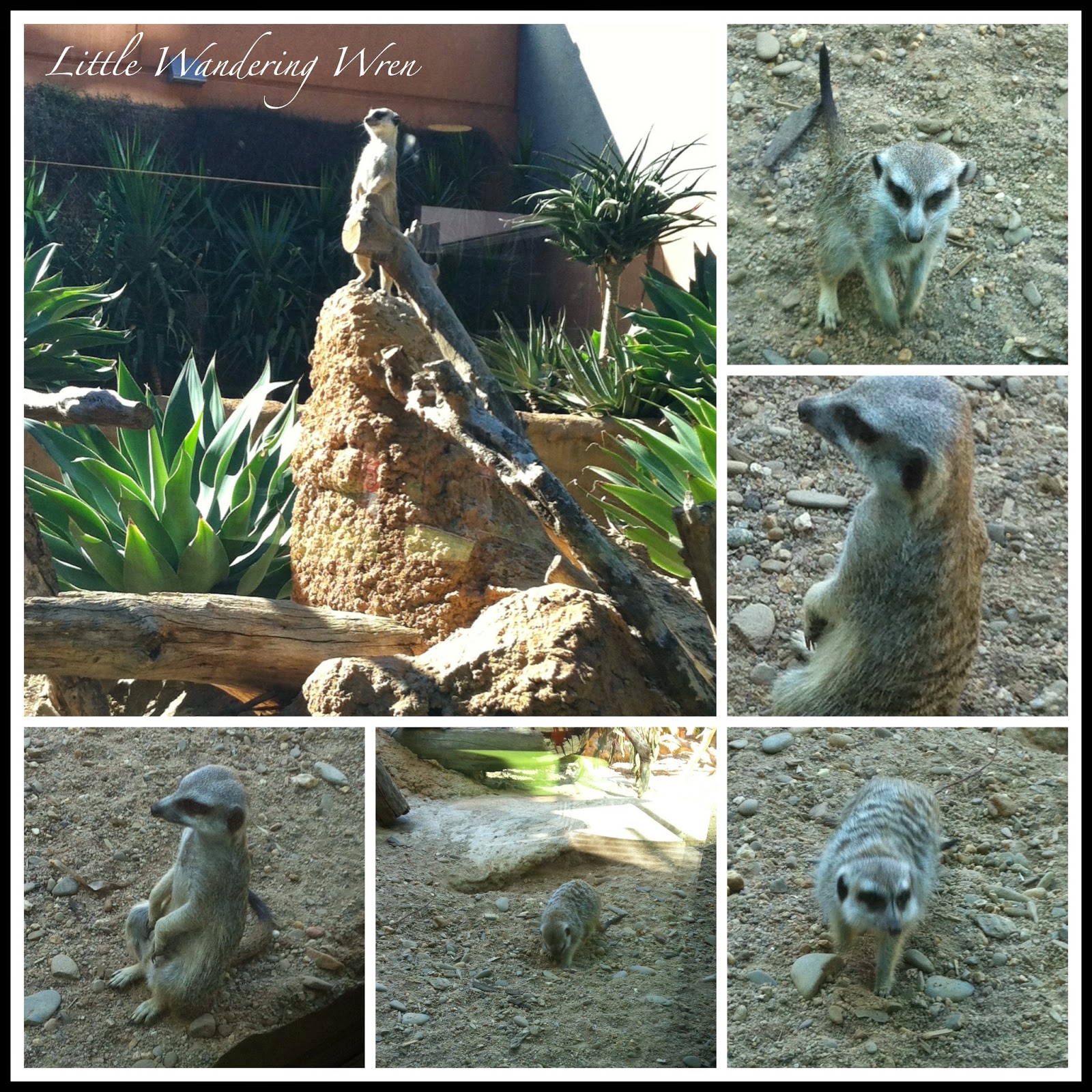 Good Friday Royal Children's Hospital Appeal, Melbourne