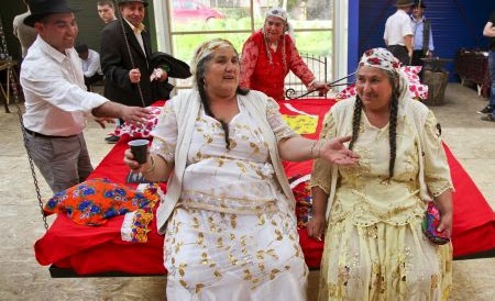 ROMANIA MARE-BUNA VESTIRE: Tiganii din Romania care hoinaresc,fura ...