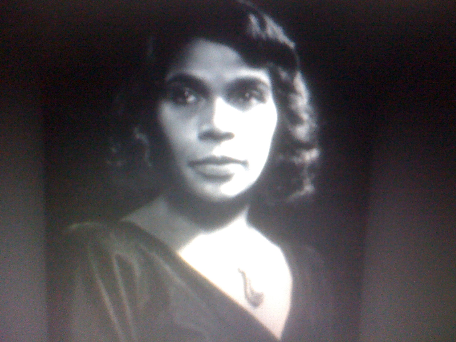 THE BLACK SOCIAL HISTORY:: BLACK SOCIAL HISTORY : CHARLOTTEE E. RAY ...