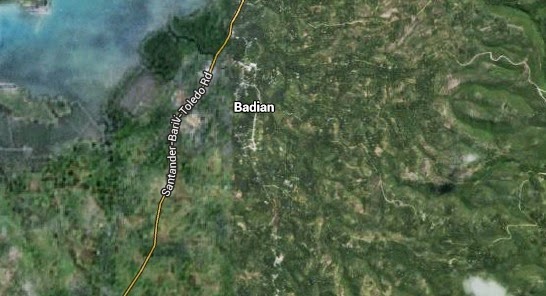 List of 29 Barangays in Badian, Cebu
