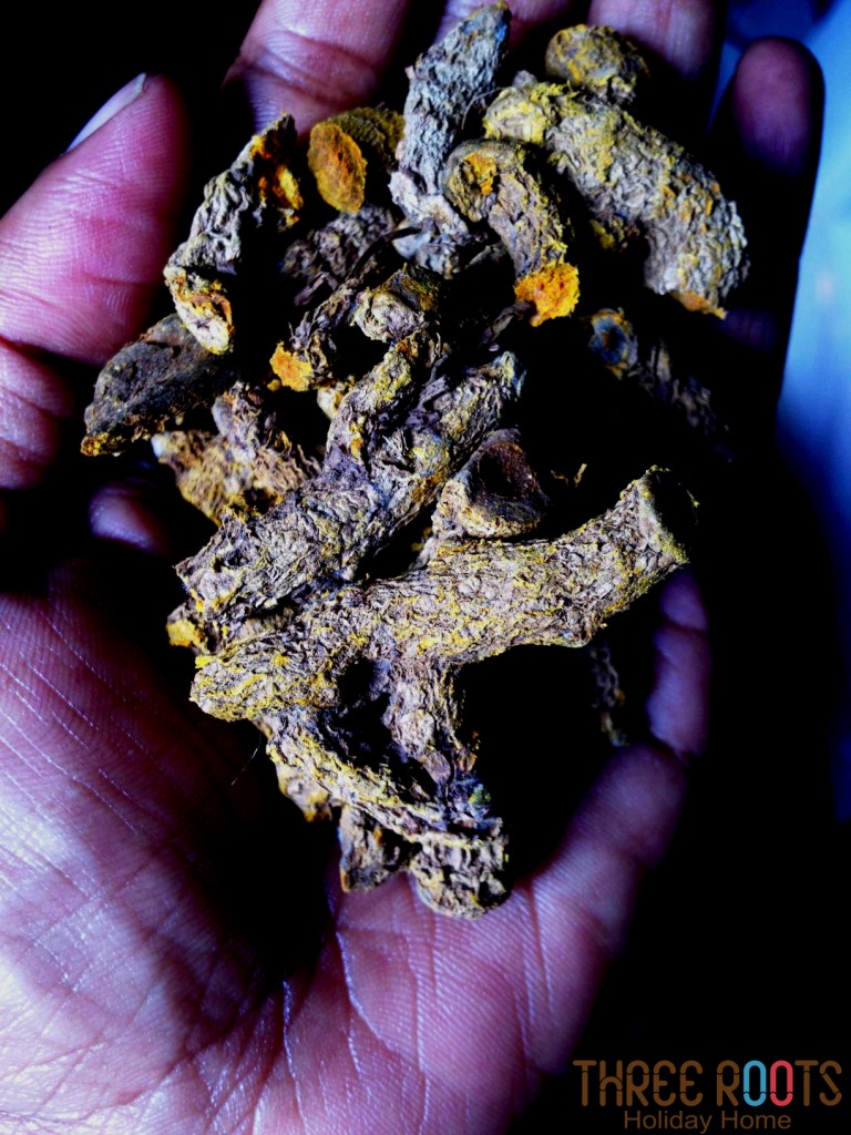 Three Roots Holiday Home Wayanad: 2016