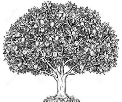 Tes Menggambar Pohon (BAUM Tree Test) pada Psikotes - Petunjuk Onlene