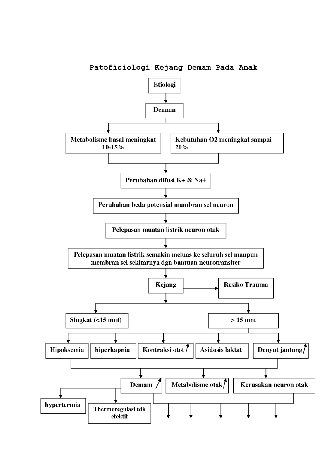 patofisiologi demam (tubuh panas menggigil) dan arti demam - Manfaat ...
