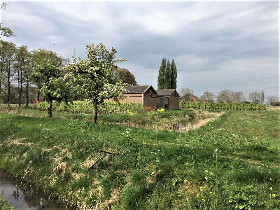 Dorpen en Steden van Nederland: Lijnden