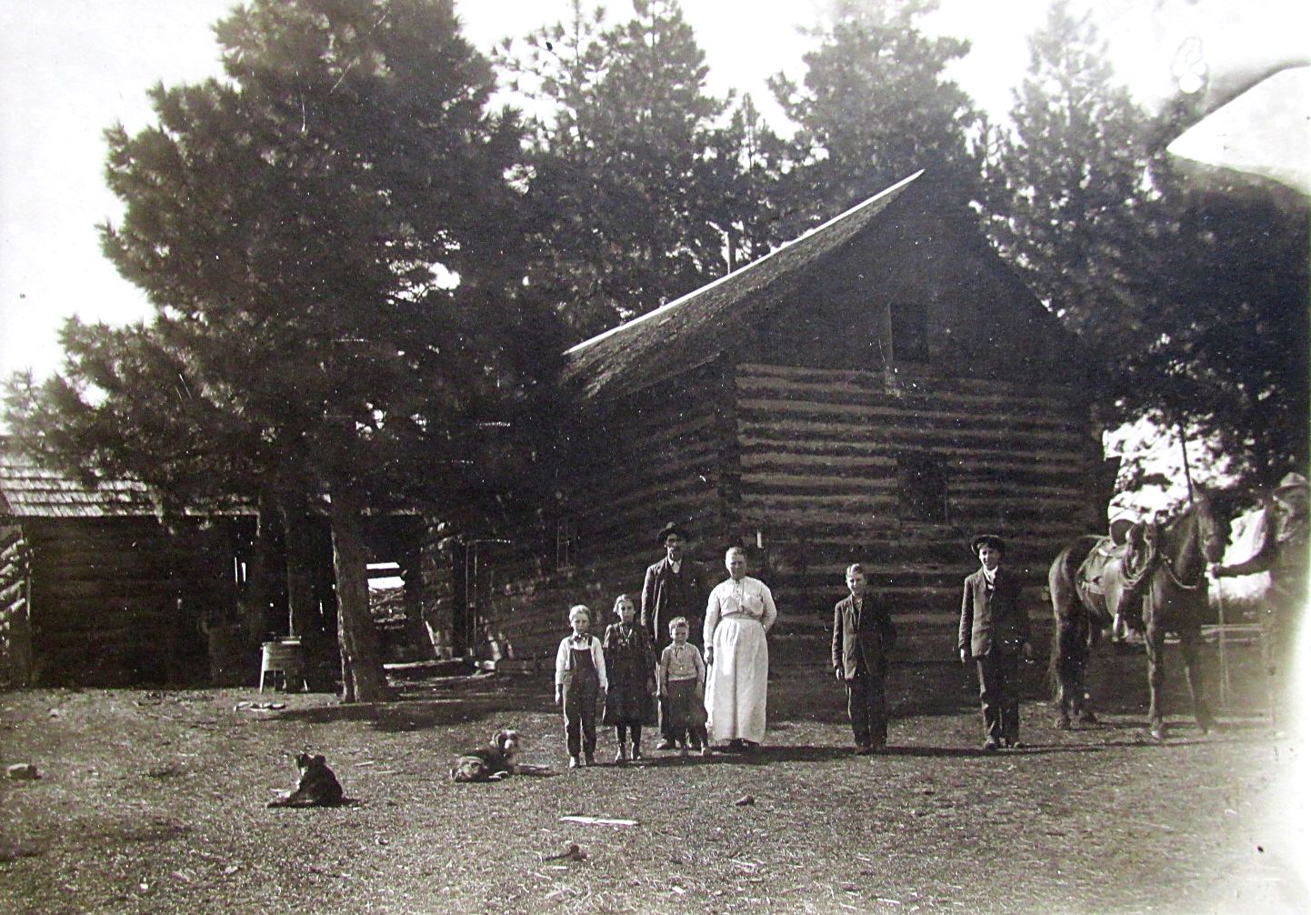 Bygone Walla Walla: vintage images of the City and County (and beyond ...