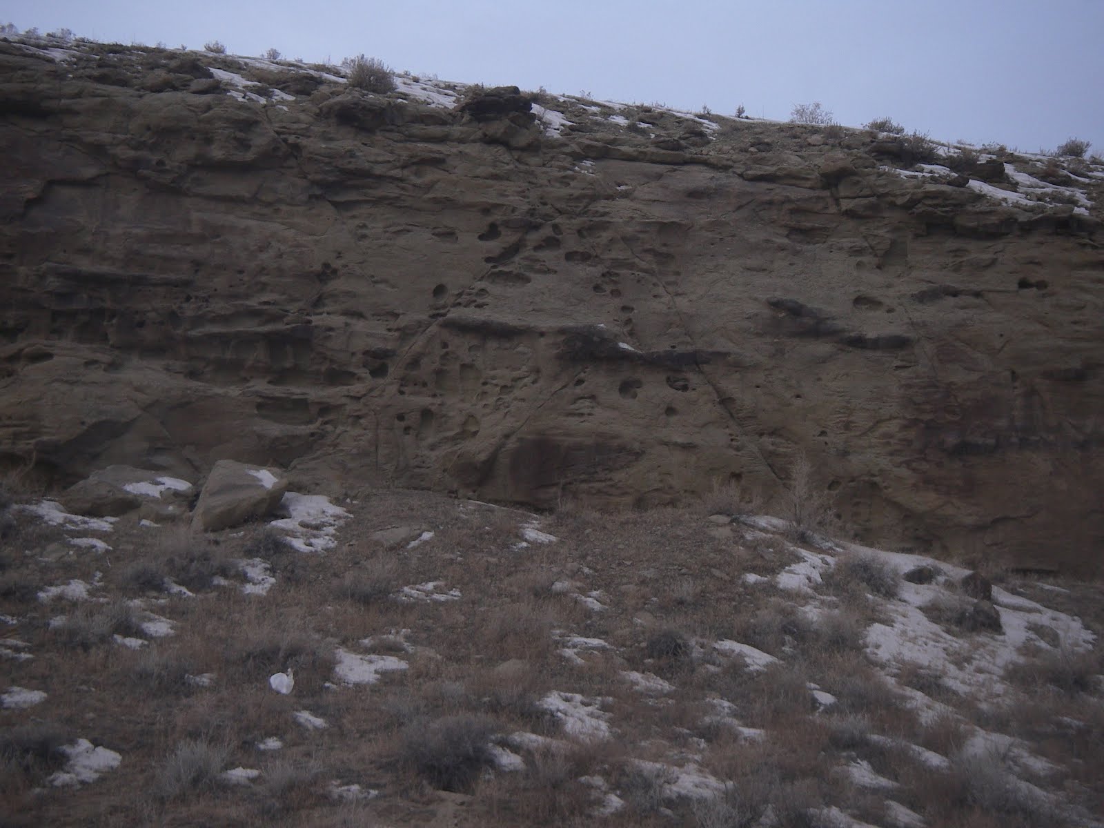 A FIELD OF MUD AND BONE: Observations in the Uinta