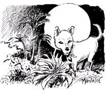 Nuestros abuelos, sus entrañables historias: Mitos y leyendas: El cadejo