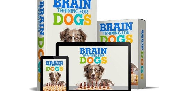Brain Training for Dogs