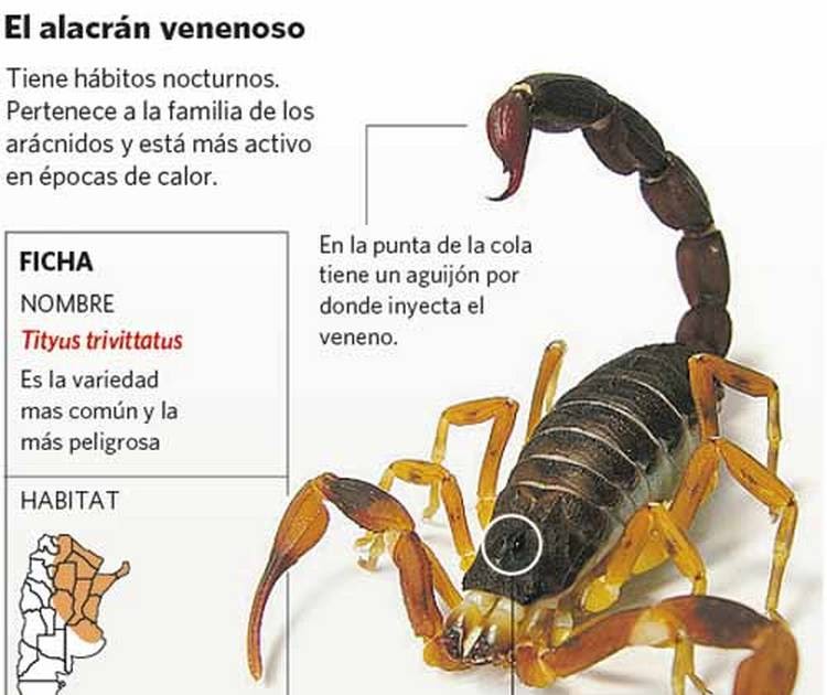limonchiflado: El Alacran