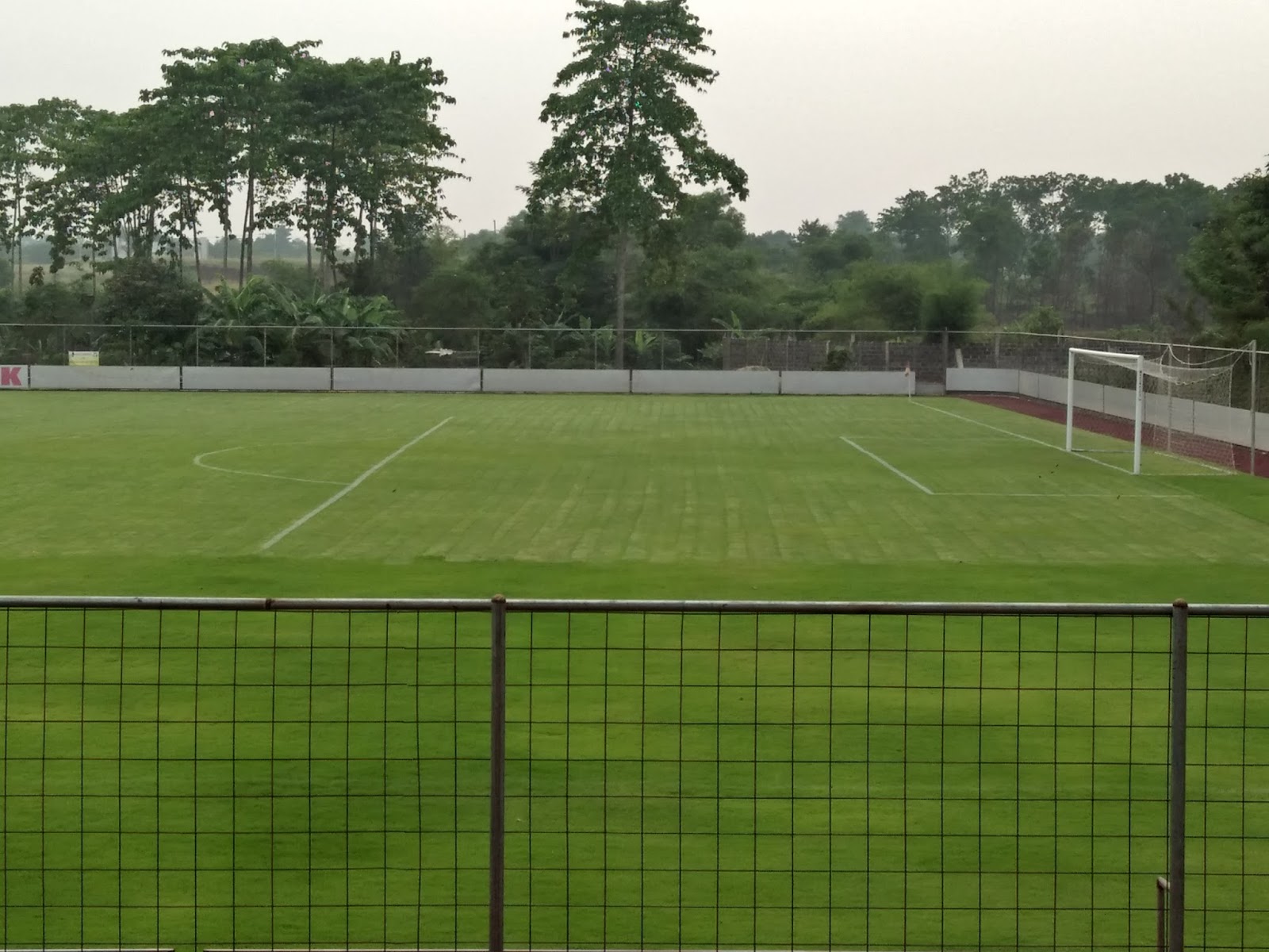 Rumput Lapangan Sepak Bola Wallpaper