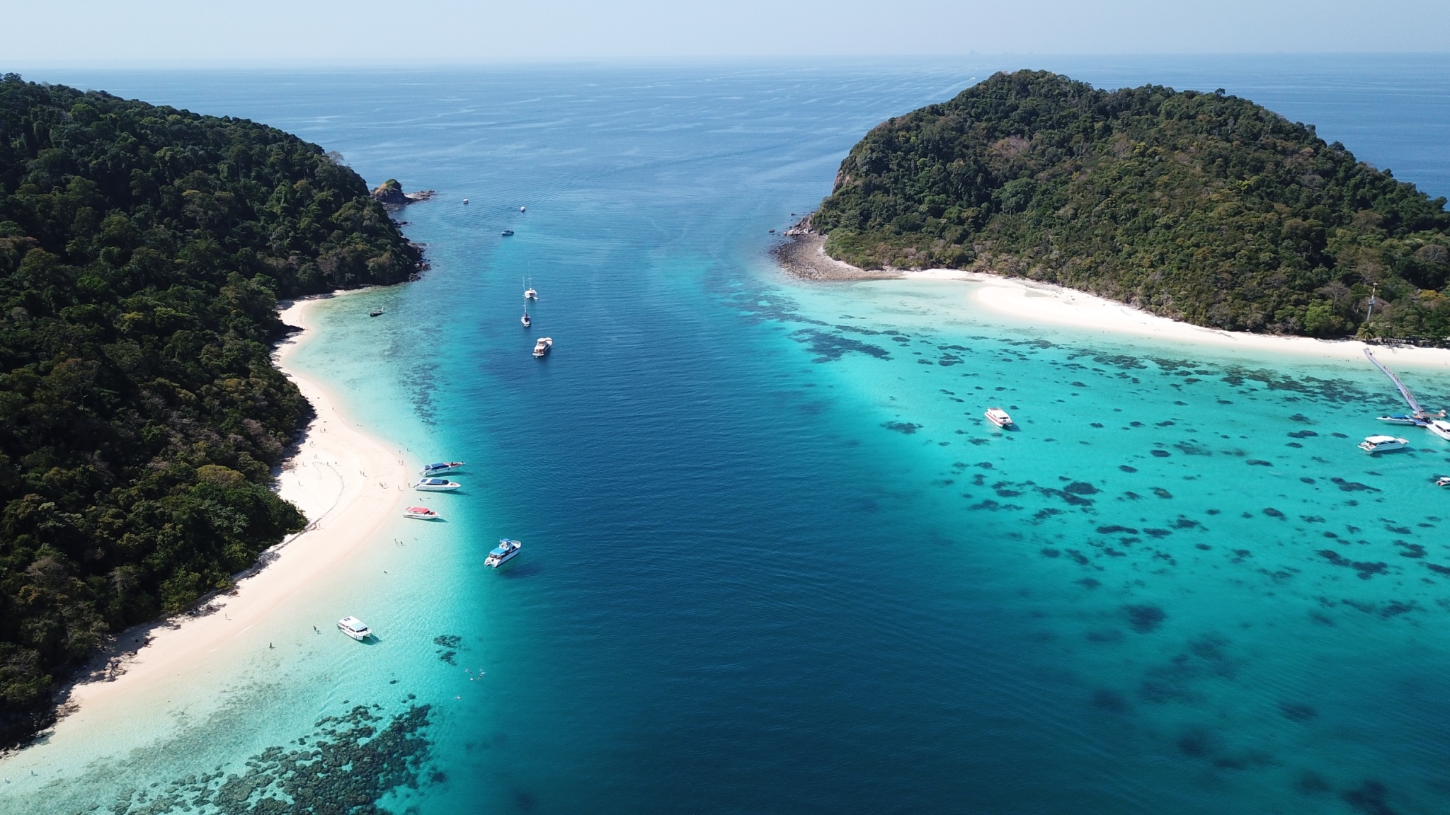 Visit Koh Rok which consists of Koh Rok Noi, Koh Rok Yai