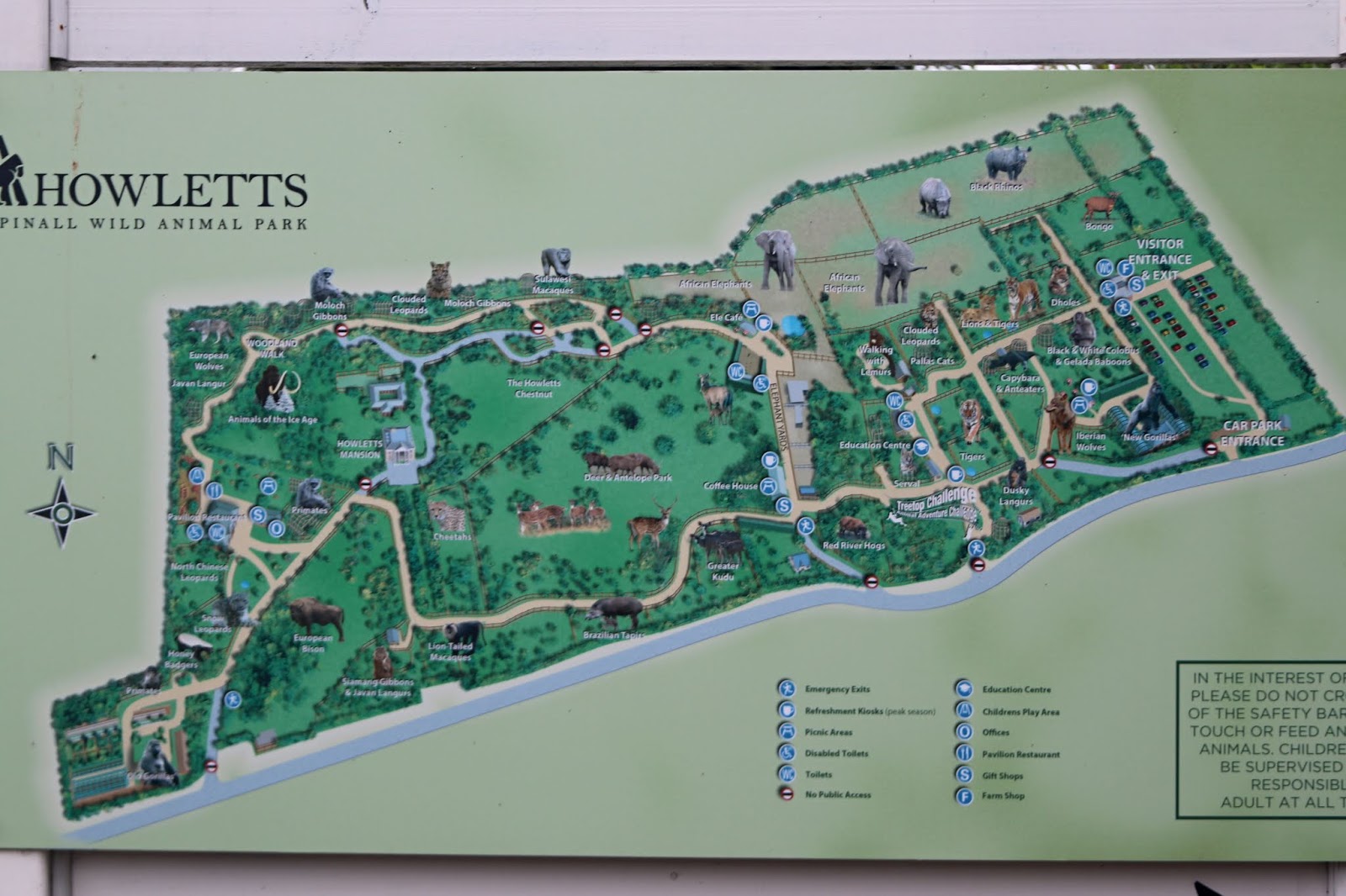 pekné a zaujímavé miesta v Južnom Anglicku : Howletts Wild Animal Park