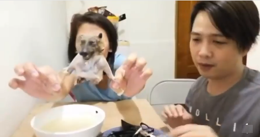 Footage shows two Filipino eating a whole bat despite coronavirus link ...