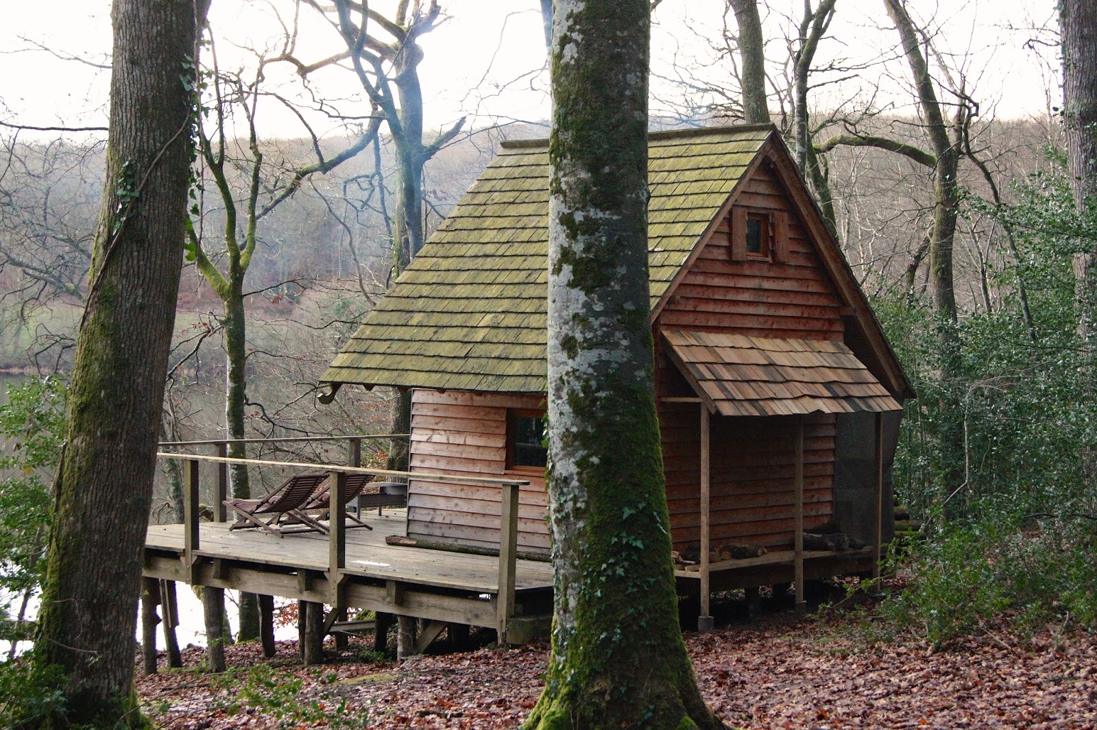 Une cabane en forêt - Louise Madelaine