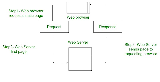 Static vs Dynamic Website ~ Want2Host