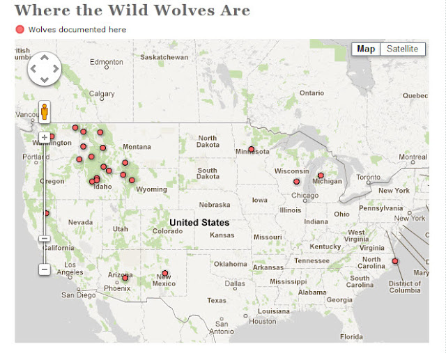 Canis lupus 101: MAP: Which States Hunt Wolves?