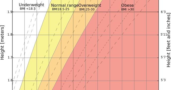 The Body Systems World Body Mass Index Bmi