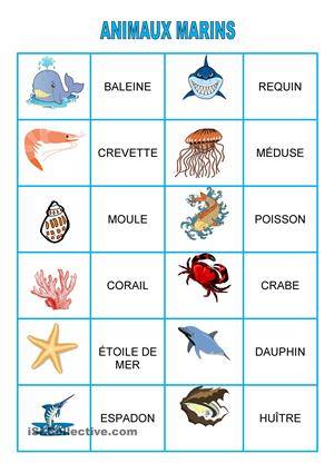 vocabulaire de la mer et la plage et exercices de compréhension - موارد ...