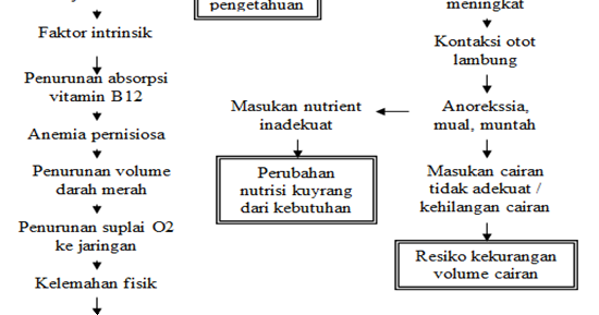 Asuhan Keperawatan (Askep) Gastritis Lengkap, Download Dalam Bentuk ...