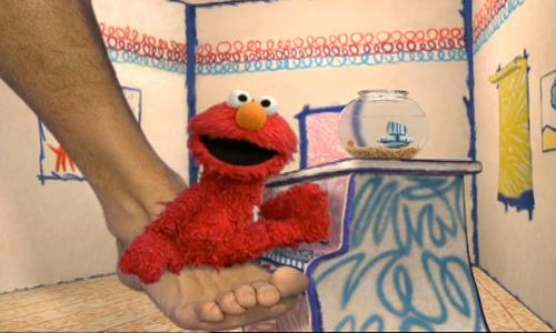 Watch Elmo's World Feet