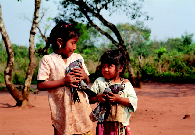 Quem são os Tupis-Guaranis?