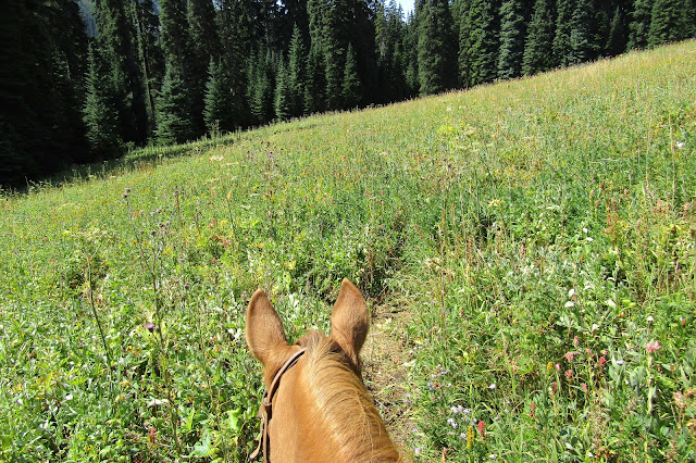 Holly's Horse Tales and Trails: Black Pine and Conrad Meadows Horse ...