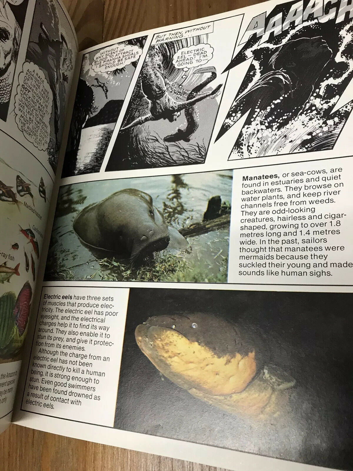 Boys Adventure Comics: Nick Raven - lost in the Amazon