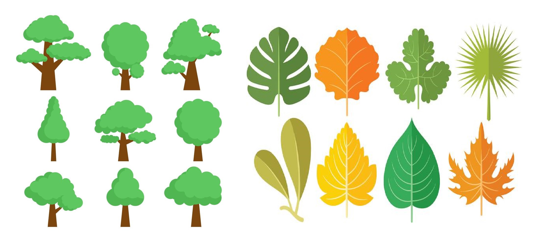 5° grado: La forma – Clasificación de las formas