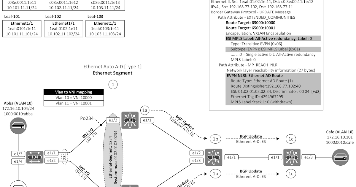The Network Times: EVPN ESI Multihoming- Part II: Fast Convergence and ...