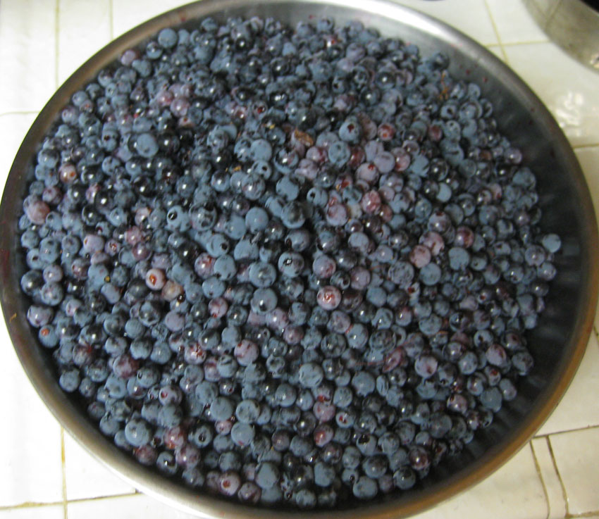 My Country Apron: Steam Juice Extractor-californica Roger's Red Grape