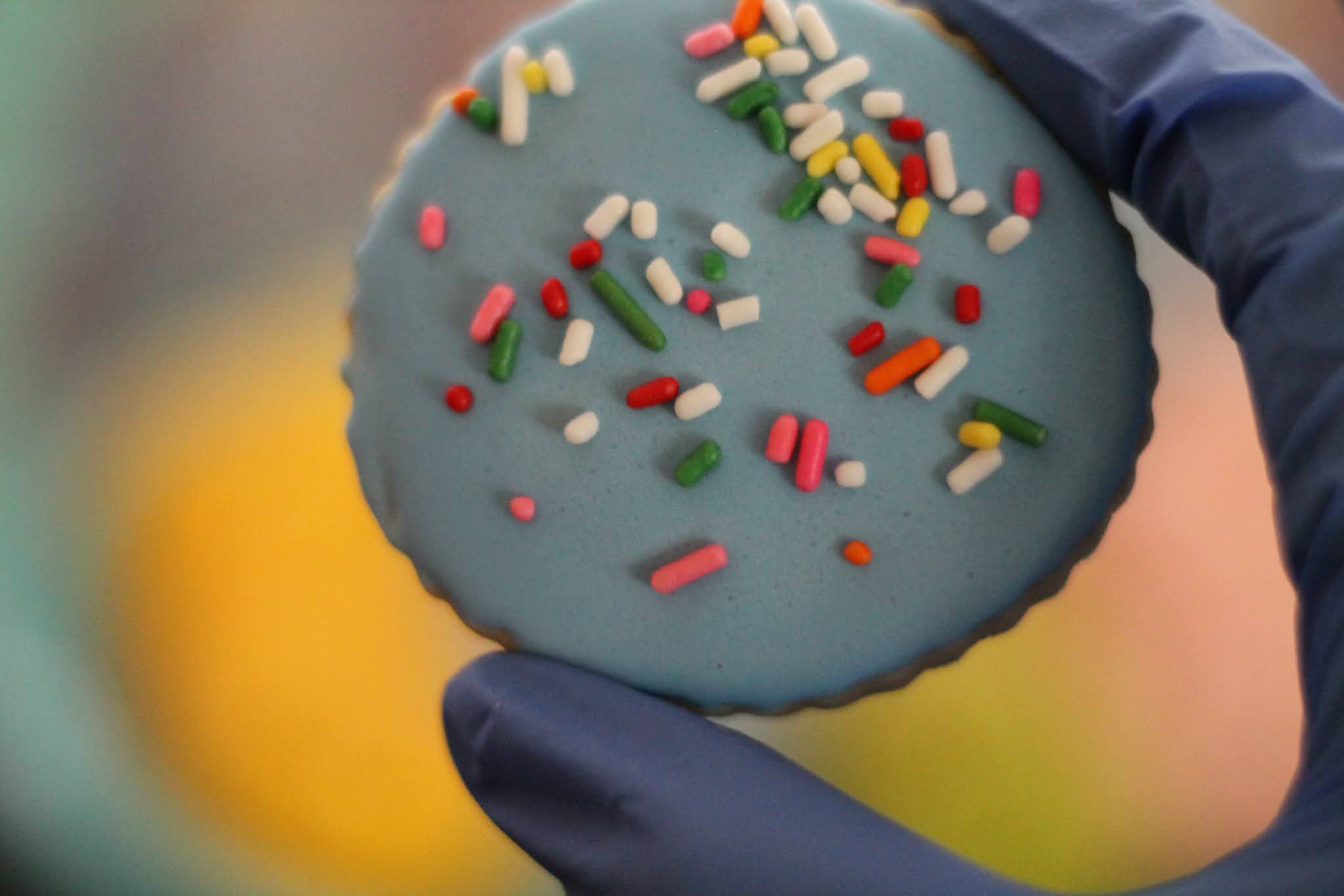 Simple, pretty and delicous cookies — The Cookie Couture