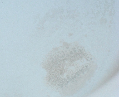 CorningWare 411: Villainous Vitrification - Turning your Corningware ...