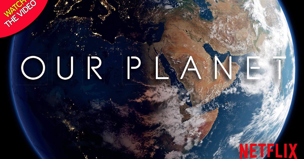 Ação Pelos Direitos dos Animais: Novo documentário da Netflix, ­­A Life ...