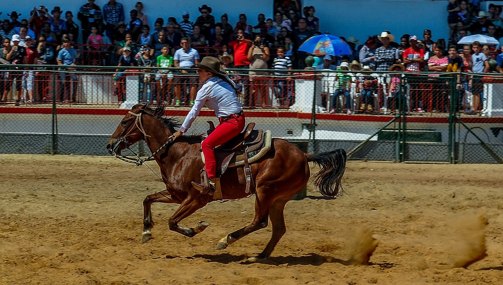 En el Colimador: ¿Rodeo cubano, espectáculo o deporte?