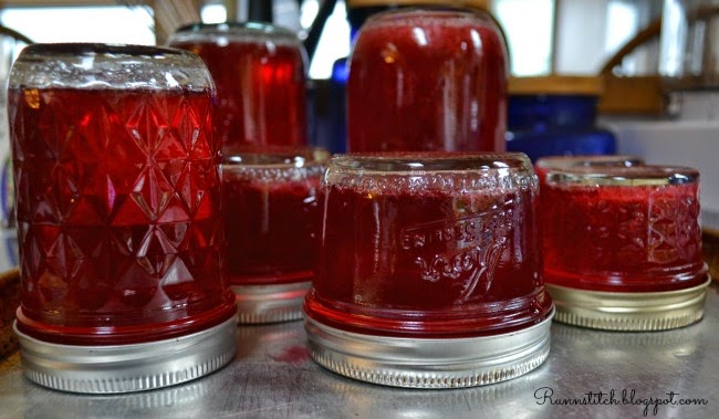 Run 'n Stitch: Red Huckleberry Jelly