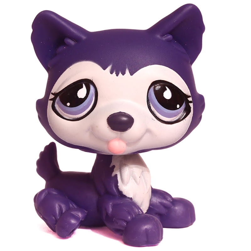 Littlest Pet Shop Multi Pack Husky (#900) Pet | LPS Merch
