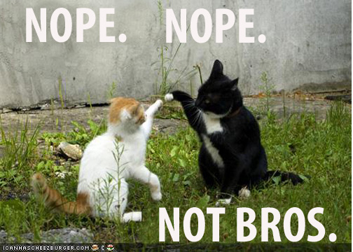 The Broskington Post: Alice: Madness Returns...From Where Exactly?