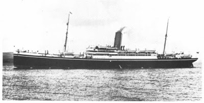 Pages from the Ancestry Binders: Steerage