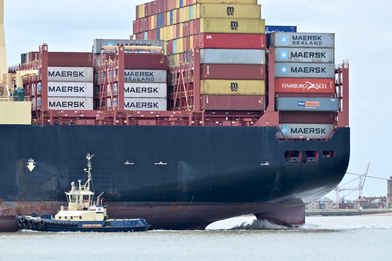 MSC RIFAYA - IMO 9767388