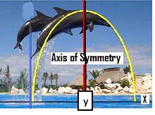 Parabolas In Real Life Applications