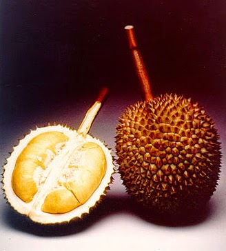 Durian Info: Planting A Good Mix Of Durian Varieties